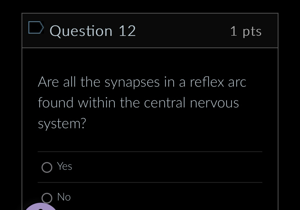 Solved Question 121ptsAre all the synapses in a reflex arc | Chegg.com