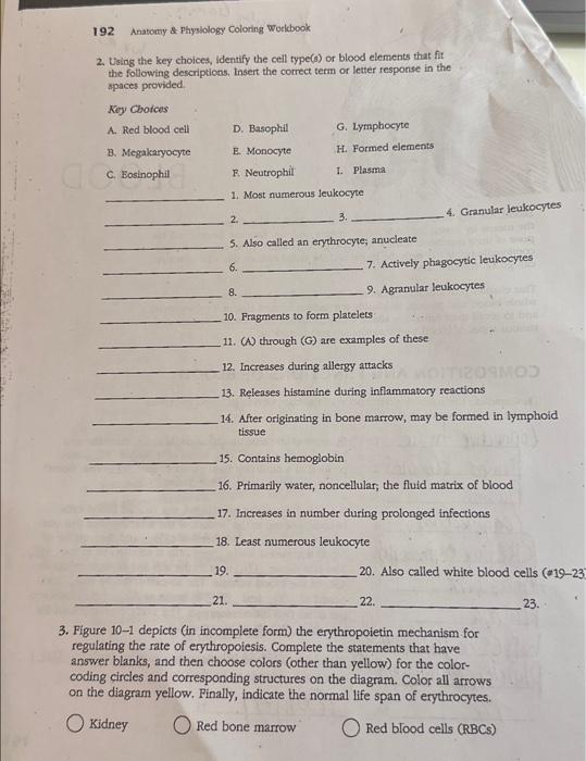 Solved 192 Anatomy & Physiology Coloring Workbook 2. Using | Chegg.com