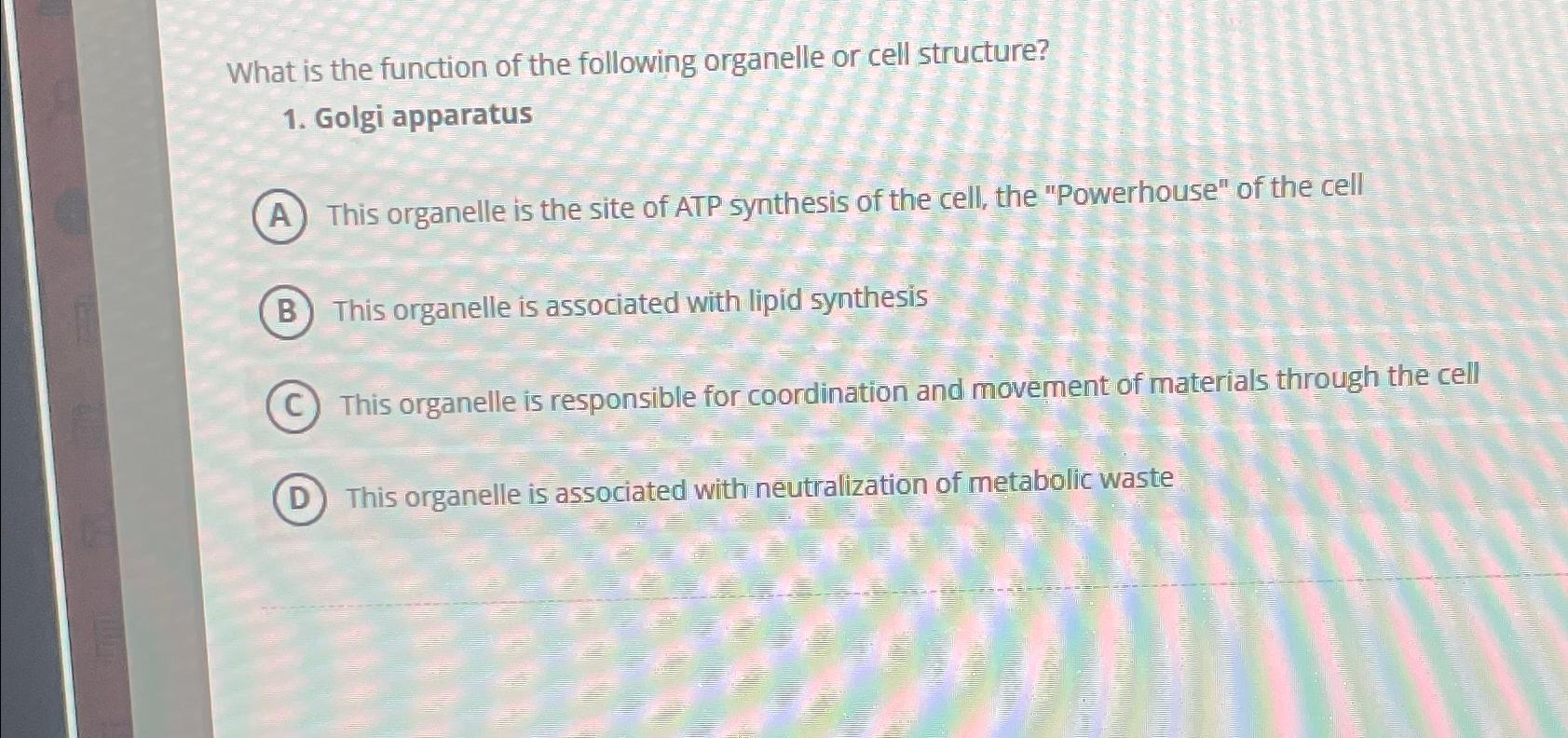 Solved What is the function of the following organelle or | Chegg.com
