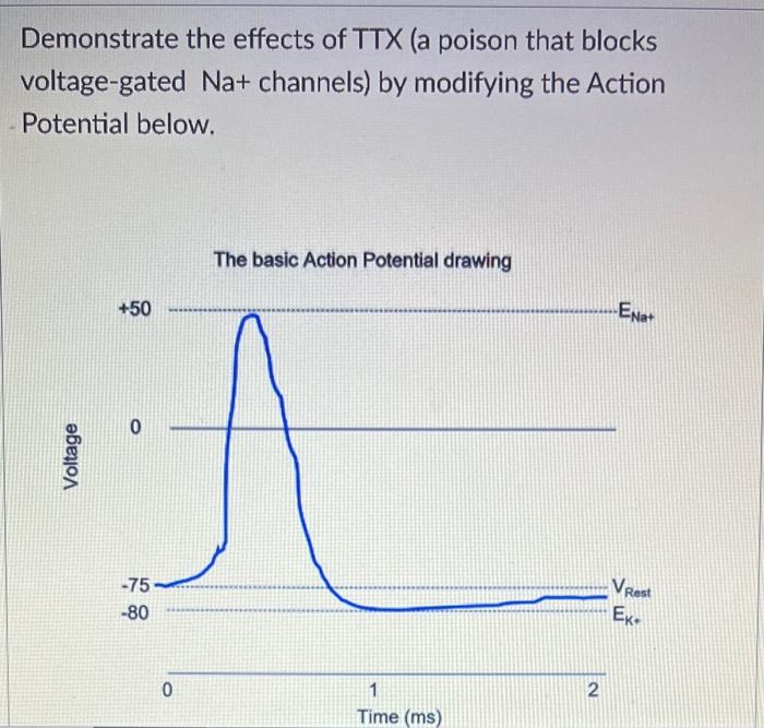 Solved Demonstrate the effects of TTX (a poison that blocks | Chegg.com