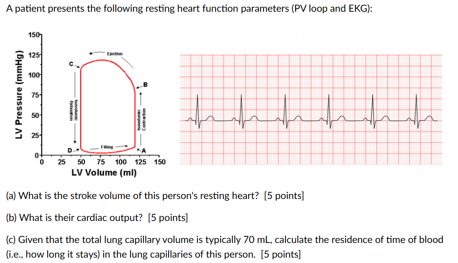 Solved A patient presents the following resting heart | Chegg.com