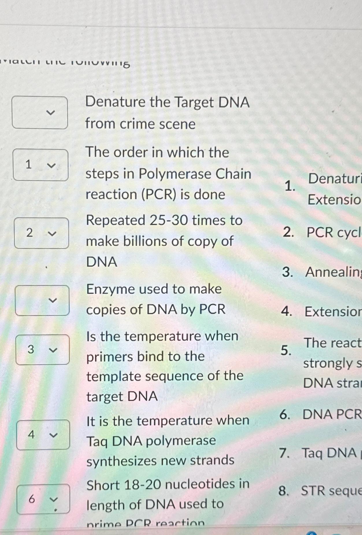 Solved Denature the Target DNA from crime sceneThe order in | Chegg.com
