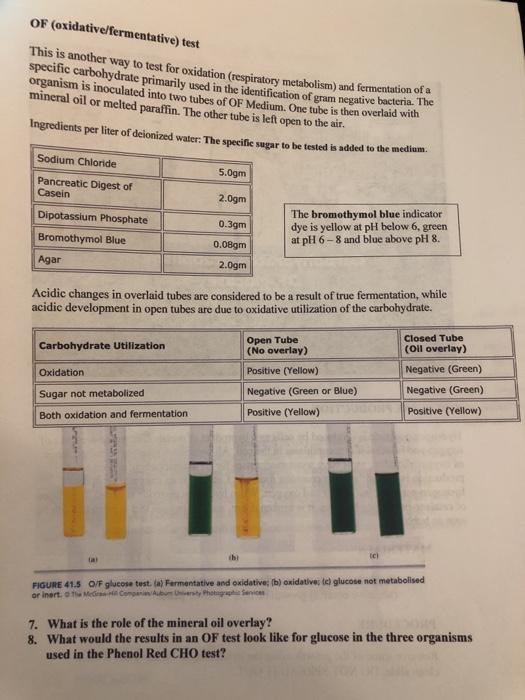 Solved OF (oxidative/fermentative) test This is another way | Chegg.com