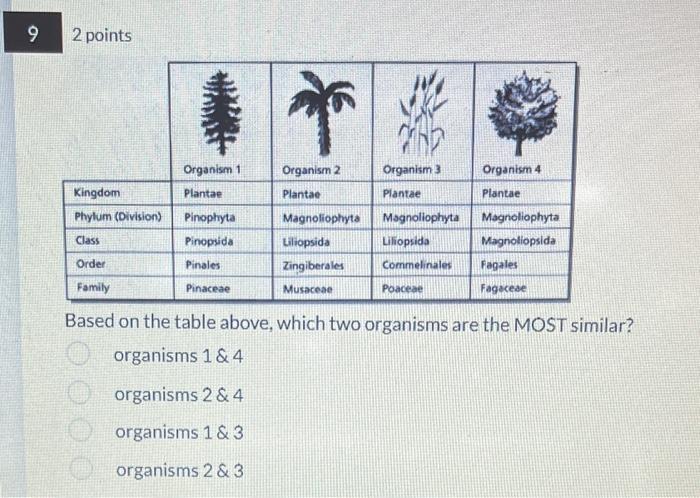 Solved 2 points Based on the table above, which two | Chegg.com