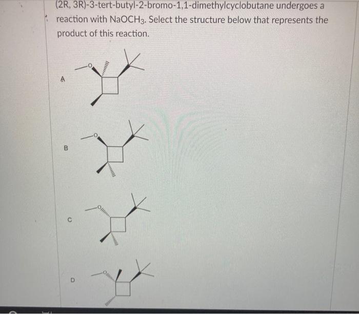 Solved (2R, 3R)-3-tert-butyl-2-bromo-1,1-dimethylcyclobutane | Chegg.com