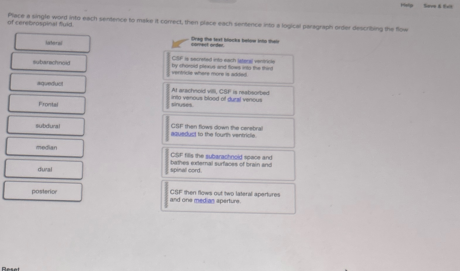 Solved HelpSave 8 ﻿ExitPlace a single word into each | Chegg.com