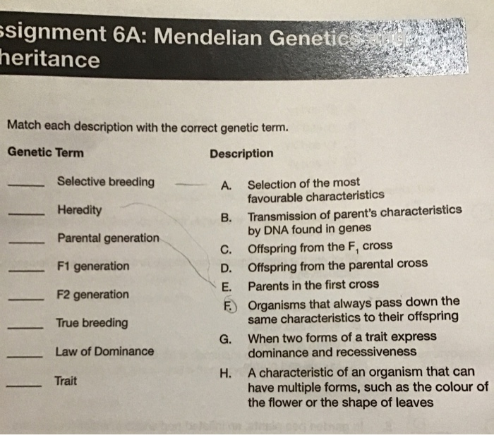 Solved ssignment 6A: Mendelian Genetics heritance Match each | Chegg.com
