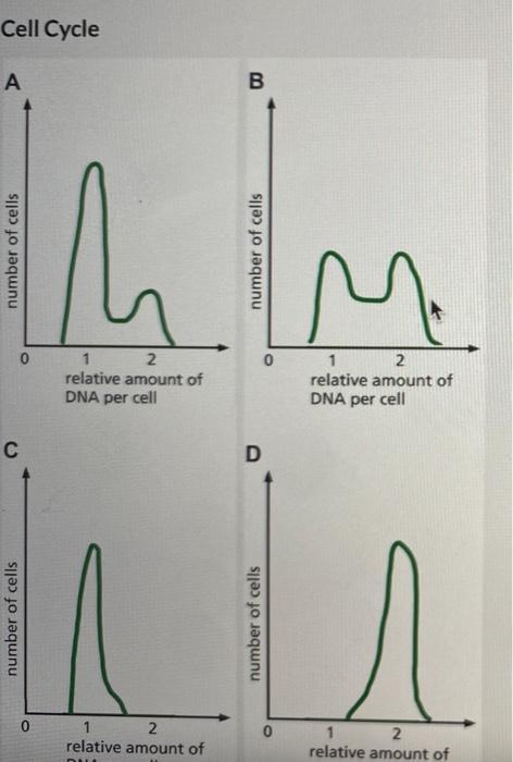 Solved Cell Cycle Cell Cycle A B C Long-ter maintain | Chegg.com