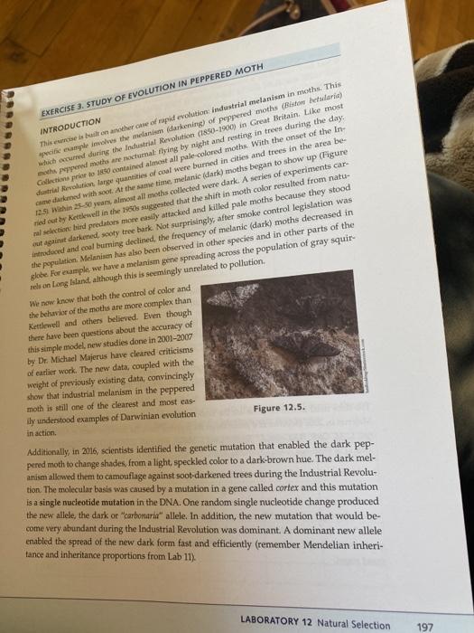 SO EXERCISE 3. STUDY OF EVOLUTION IN PEPPERED MOTH | Chegg.com