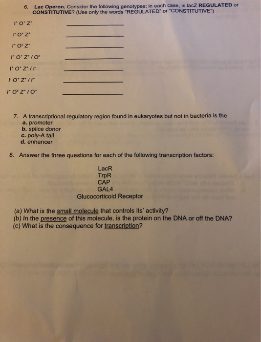 Solved Lac Operon. Consider the following genotypes; in each | Chegg.com