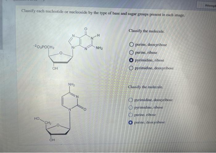 Solved Attempt Classify each nucleotide or nucleoside by the | Chegg.com