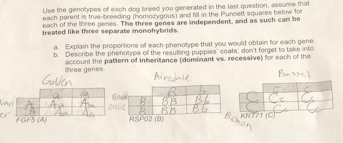 Use the genotypes of each dog breed you generated in | Chegg.com