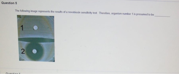 Solved Question 5 The following image represents the results | Chegg.com