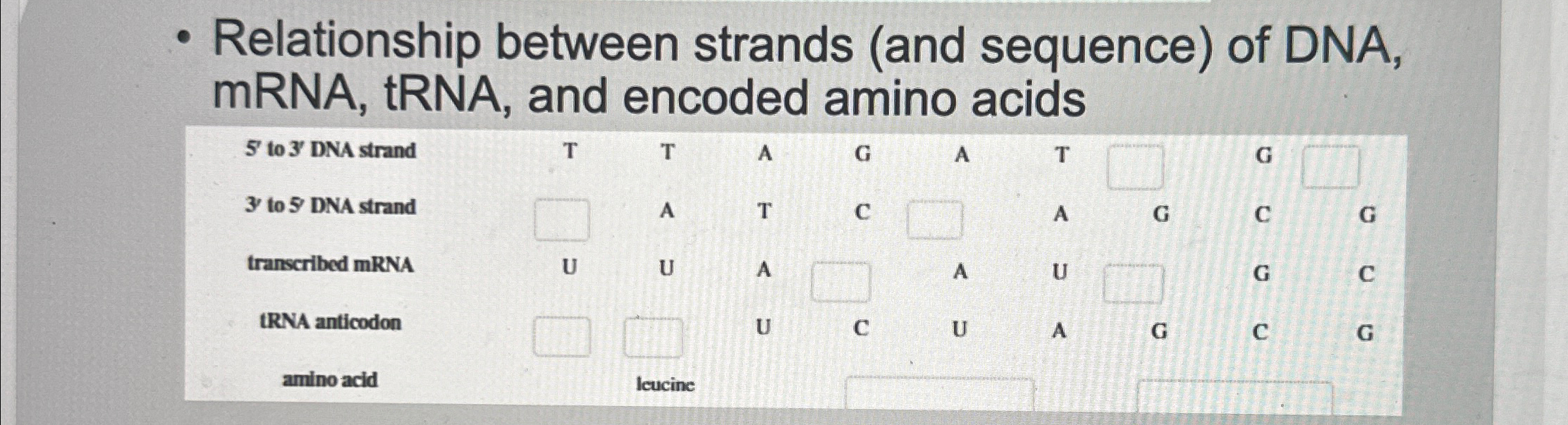 Solved Relationship between strands (and sequence) ﻿of DNA, | Chegg.com