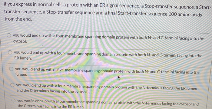 Solved If you express in normal cells a protein with an ER | Chegg.com