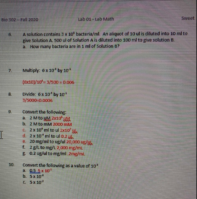 Solved Bio SOZ-Fall 2020 tab 01 - Lab Math Instructions: | Chegg.com
