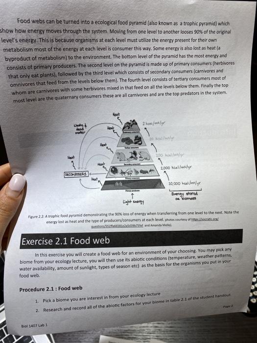 Biology 1407 Lab 2: Food Webs & Trophic Pyramids | Chegg.com