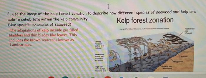 Solved 2. Use the image of the kelp forest zonation to | Chegg.com