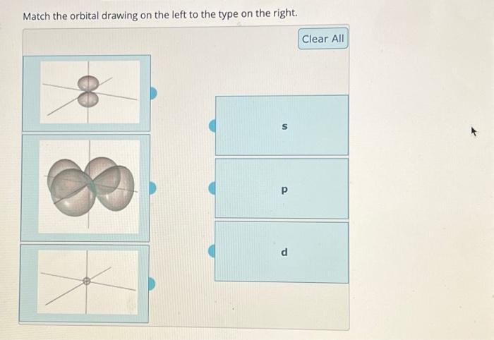 Solved Match the orbital drawing on the left to the type on | Chegg.com