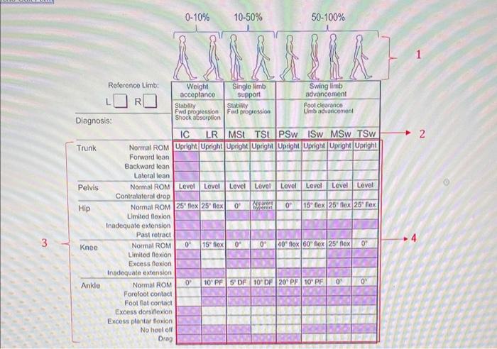 Using the Ranch Assessment Assignment 2: Pathologies | Chegg.com