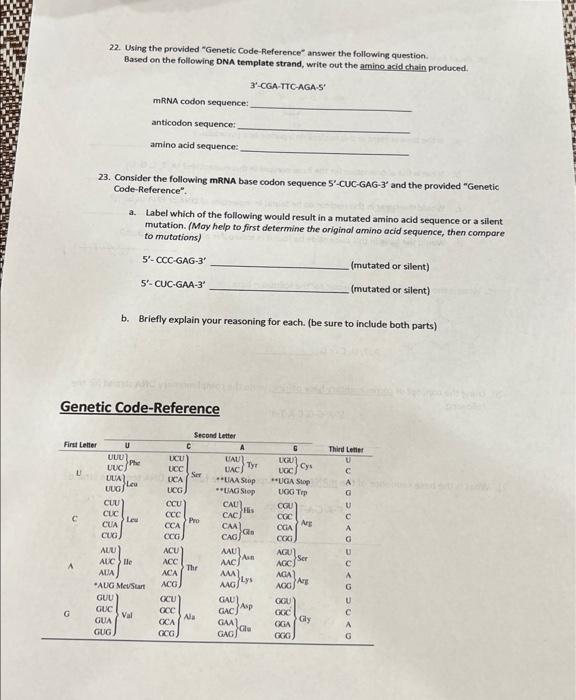 Solved 22. Using the provided "Genetic Code-Reference" | Chegg.com