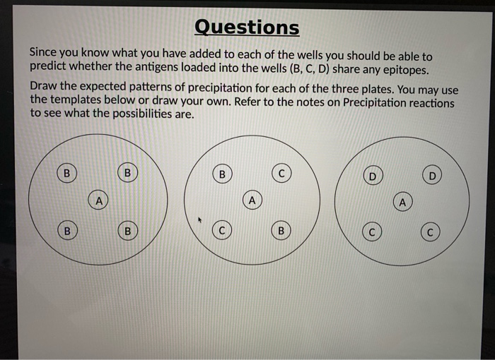 Solved Ouchterlony Experiment Purpose Perform an Ouchterlony | Chegg.com