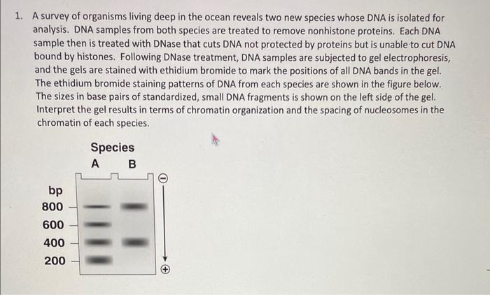 A survey of organisms living deep in the ocean | Chegg.com
