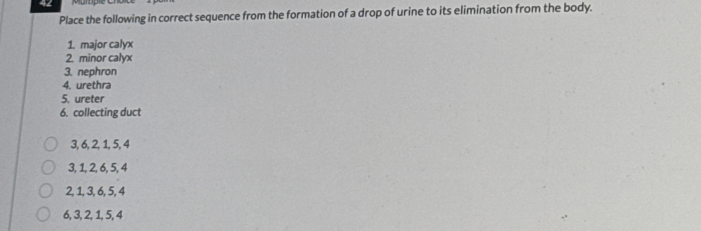 Solved Place the following in correct sequence from the | Chegg.com