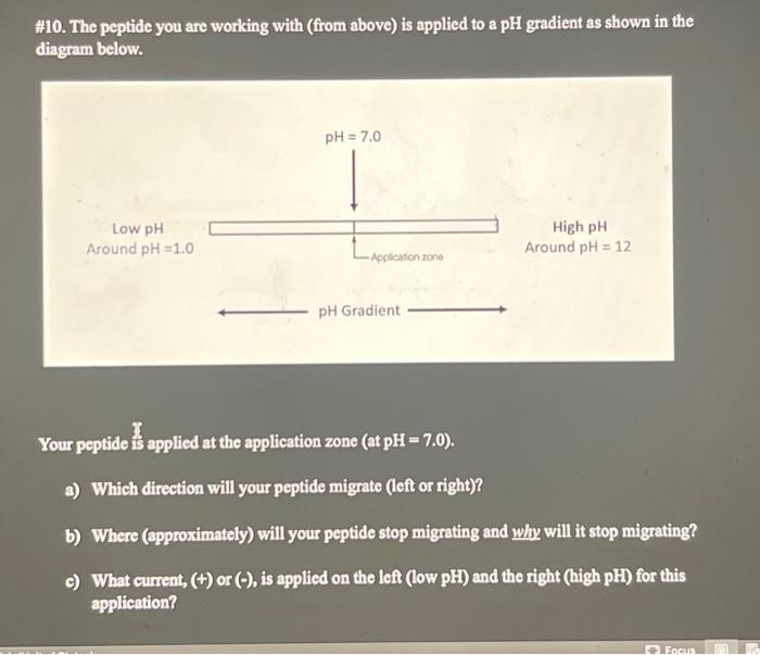 Solved N5. Using the value for the pI for the protein | Chegg.com