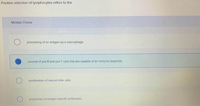 Solved Positive selection of lymphocytes refers to the | Chegg.com
