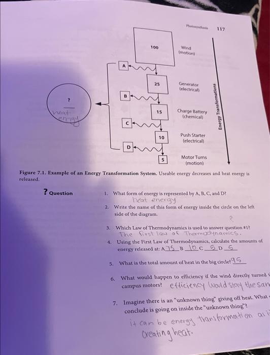 Energy Transformation Diagrams Examples