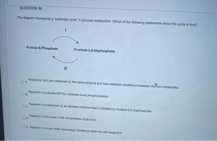 Solved QUESTION 36 The diagram represents a 'substrate cycle | Chegg.com