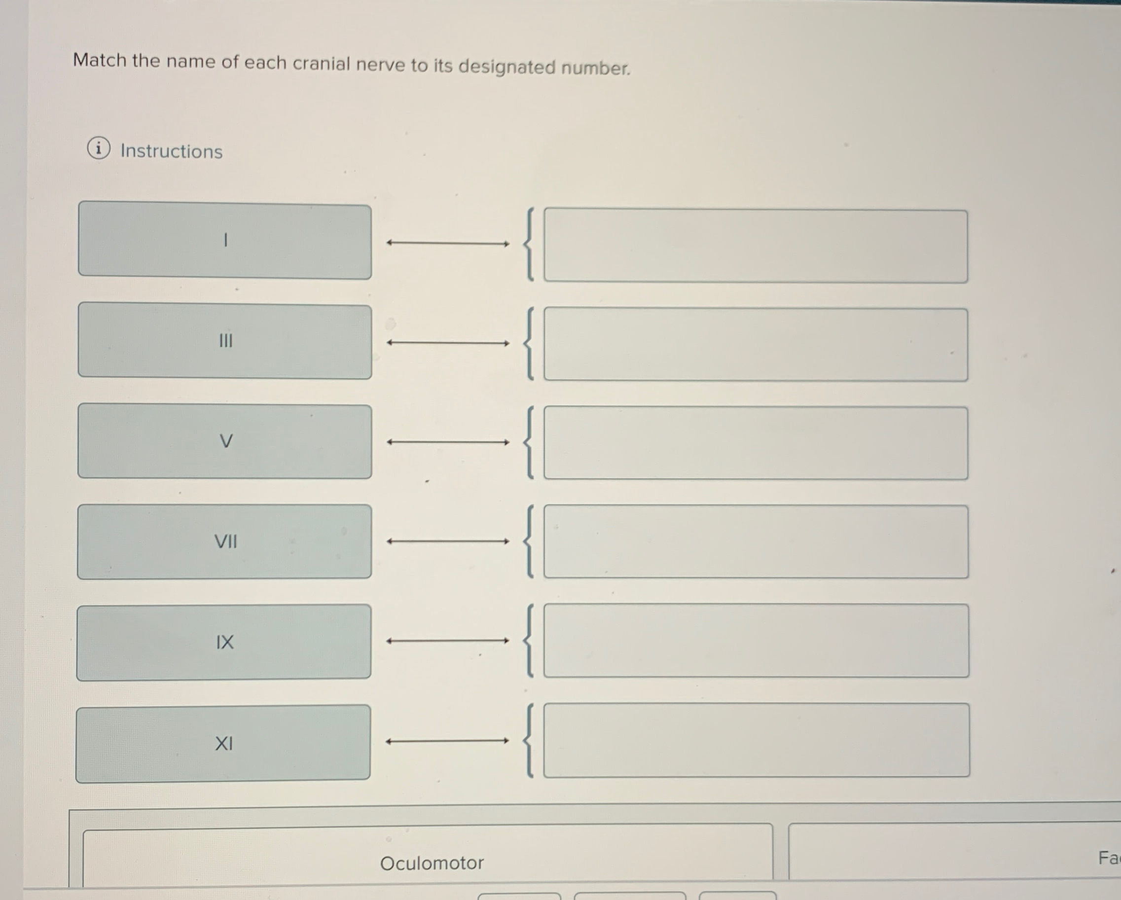 Solved Match the name of each cranial nerve to its | Chegg.com