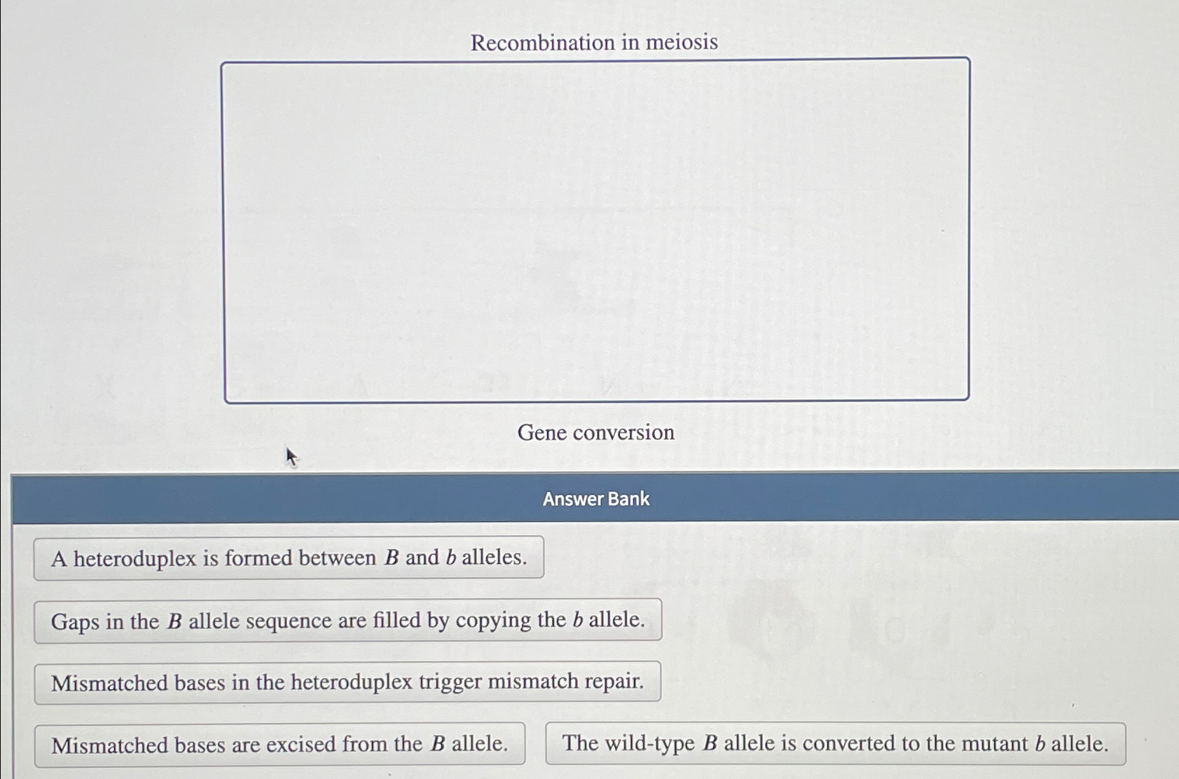 Solved Recombination in meiosisGene conversionAnswer BankA | Chegg.com