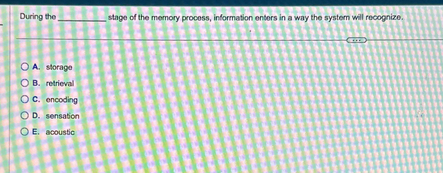 Solved During the stage of the memory process, information | Chegg.com