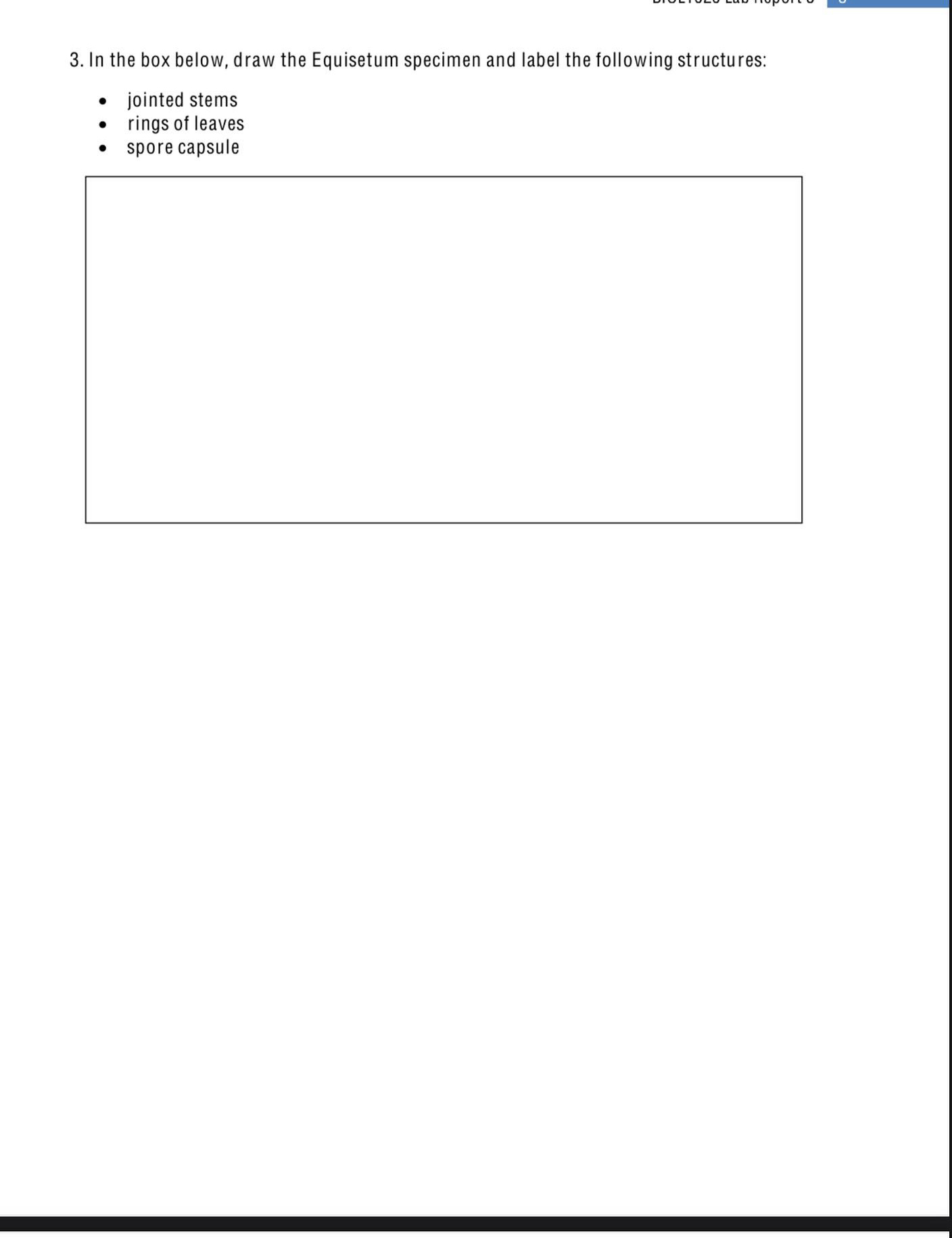 Solved In the box below, draw the Equisetum specimen and | Chegg.com