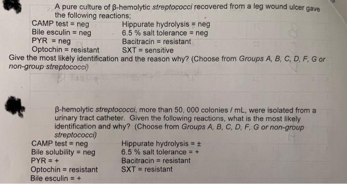 Solved A pure culture of β-hemolytic streptococci recovered | Chegg.com
