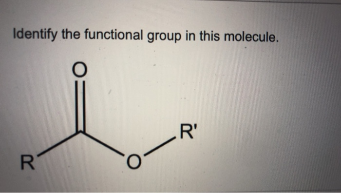 Solved Identify the functional group in this molecule. R' R | Chegg.com