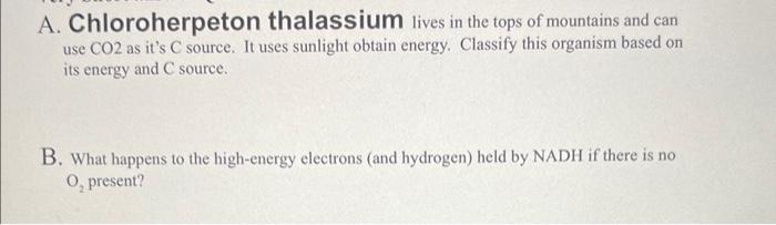 Solved A. Chloroherpeton thalassium lives in the tops of | Chegg.com