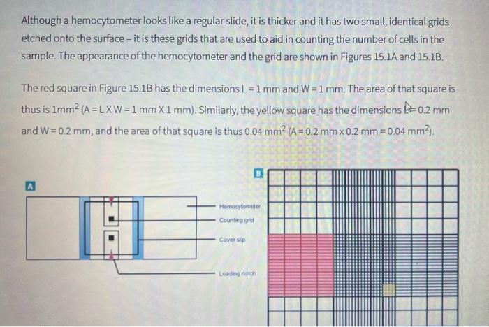 Solved Although a hemocytometer looks like a regular slide, | Chegg.com