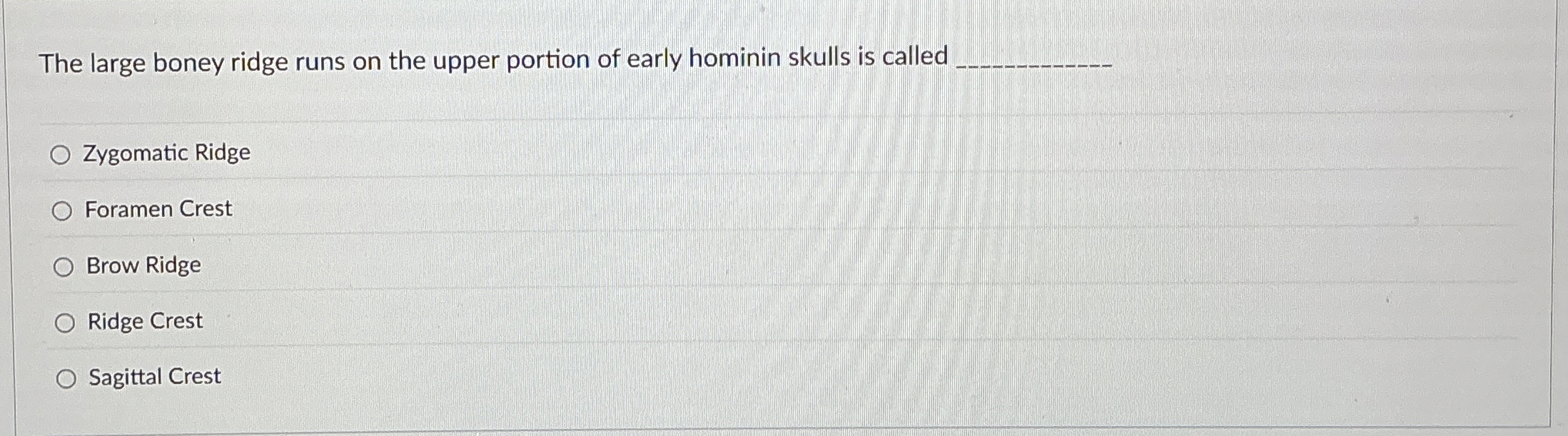 Solved The large boney ridge runs on the upper portion of | Chegg.com