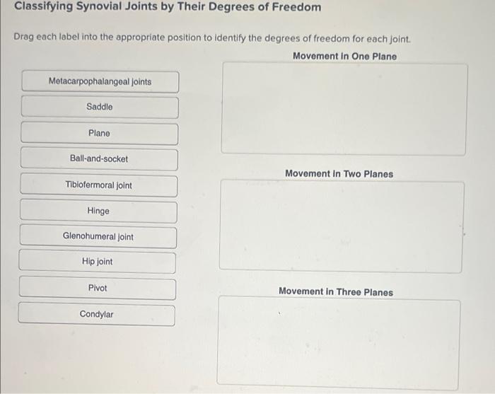 Solved Classifying Synovial Joints by Their Degrees of | Chegg.com Solved Classifying Synovial Joints by Their Degrees of | Chegg.com