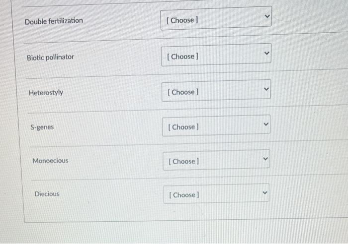 Solved Transpiration Translocation Megaspore Microspore | Chegg.com