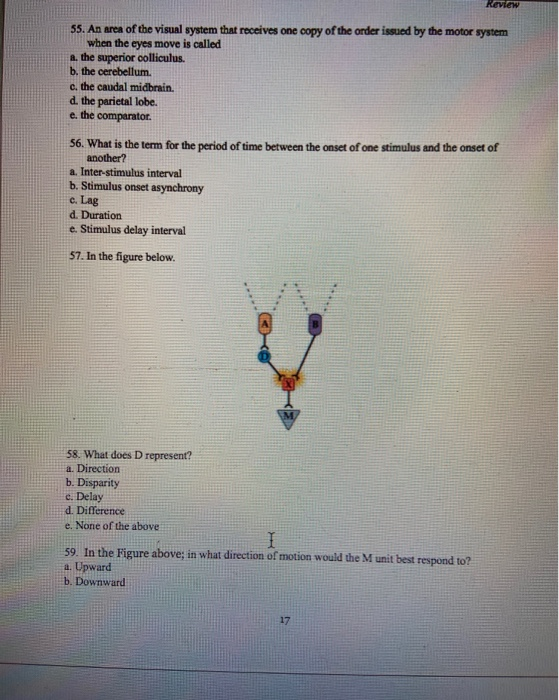 Solved 52. The figure below is an example of a. illusory | Chegg.com