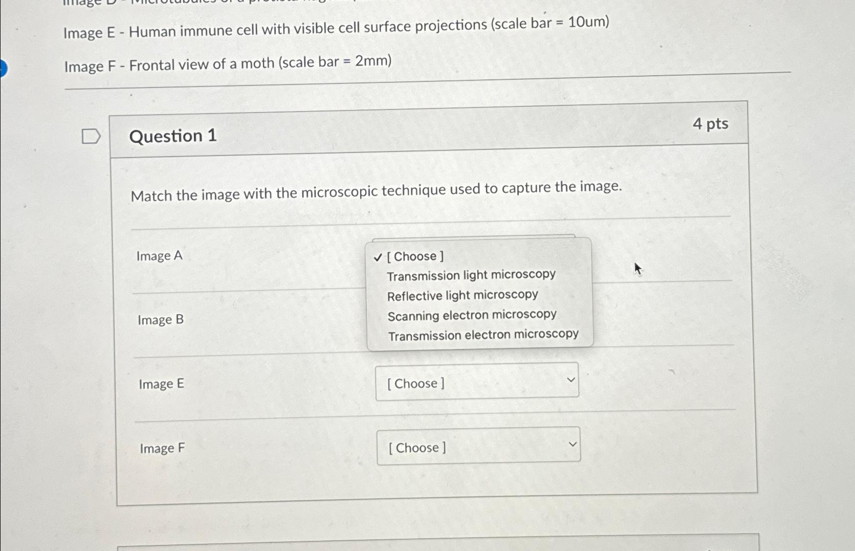 Solved There are six micrograph shown below (Figures A-F). | Chegg.com