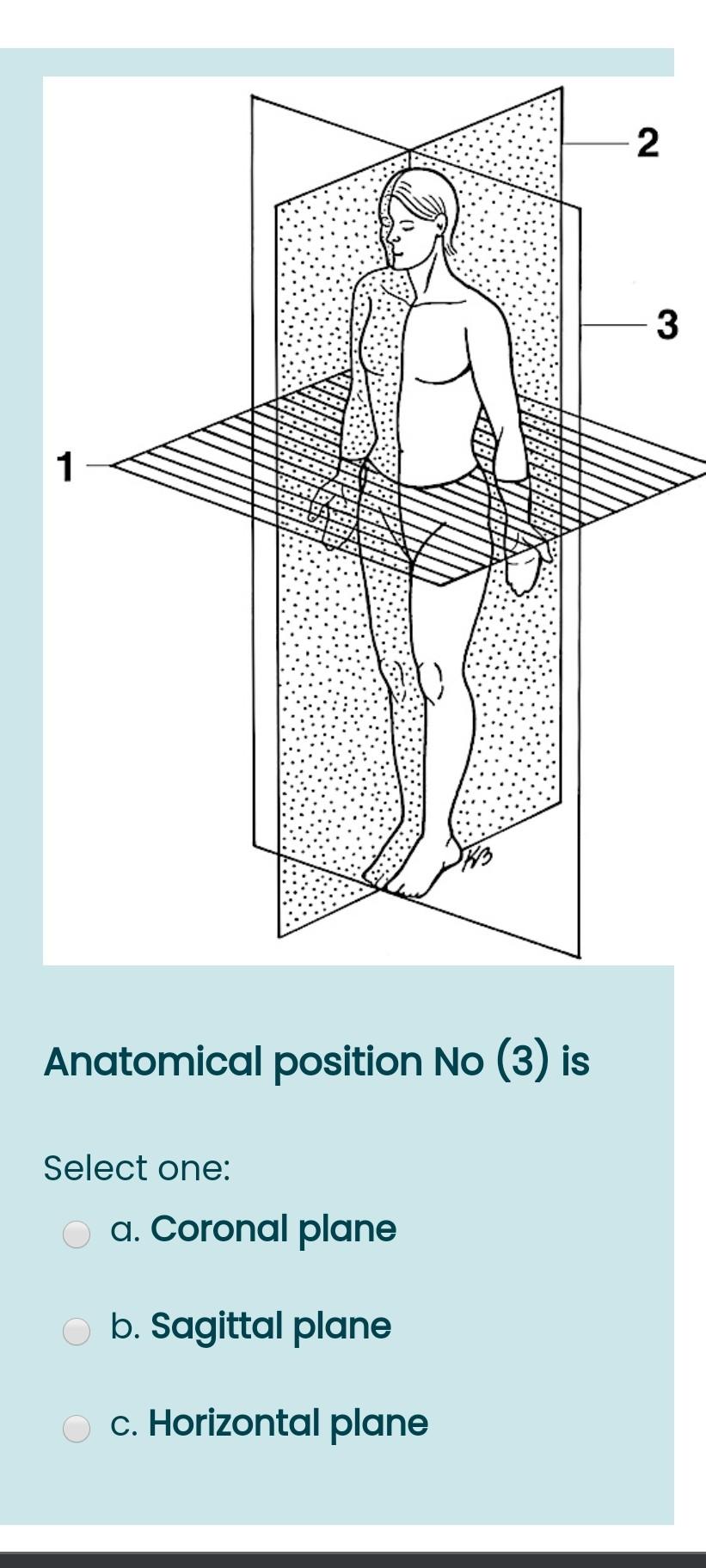 Solved 2 3 1 Anatomical position No (3) is Select one: a. | Chegg.com
