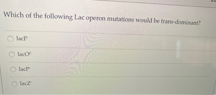Solved Which of the following Lac operon mutations would be | Chegg.com