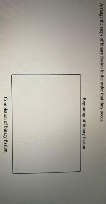 Solved Arrange the steps of binary fission in the order that | Chegg.com