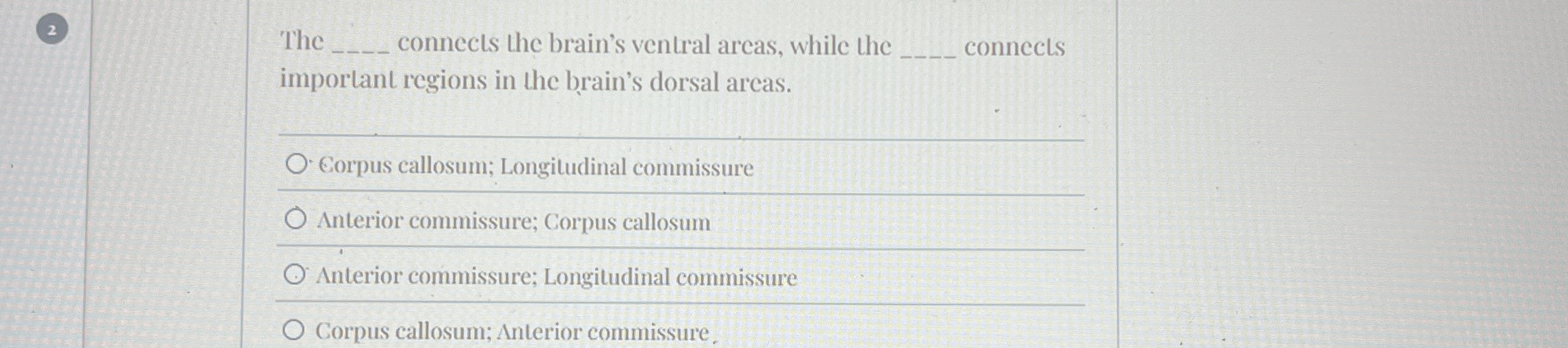 Solved Theconnects the brain's ventral areas, while | Chegg.com