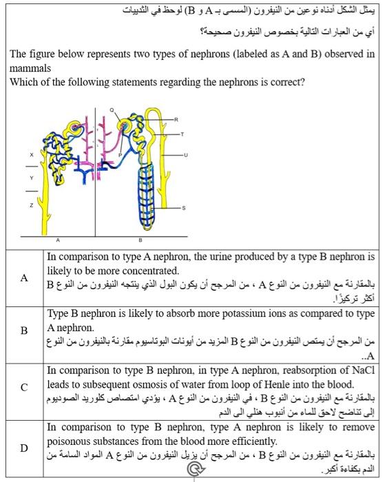 Solved The figure below represents two types of nephrons | Chegg.com